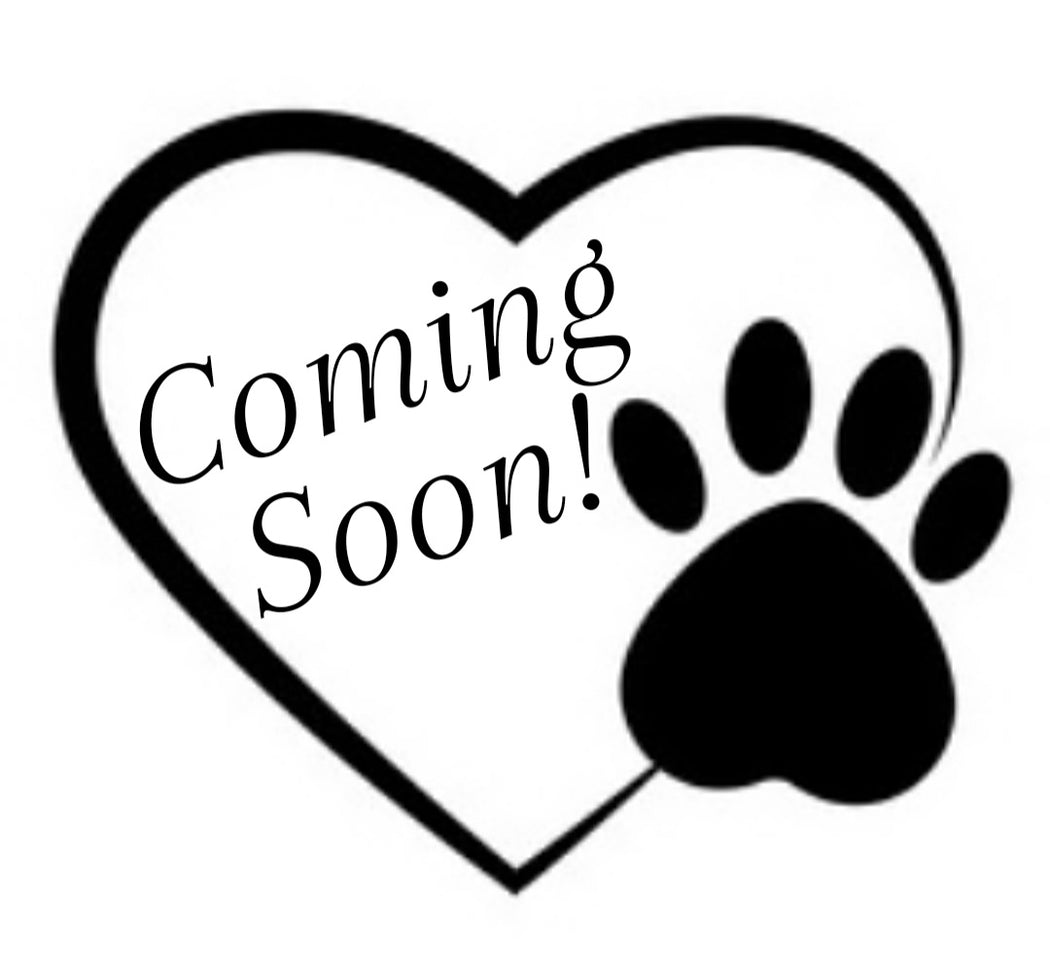 Available Puppies - Glendale, AZ - El Mirage, AZ - Mesa, AZ - Pratt's Pets