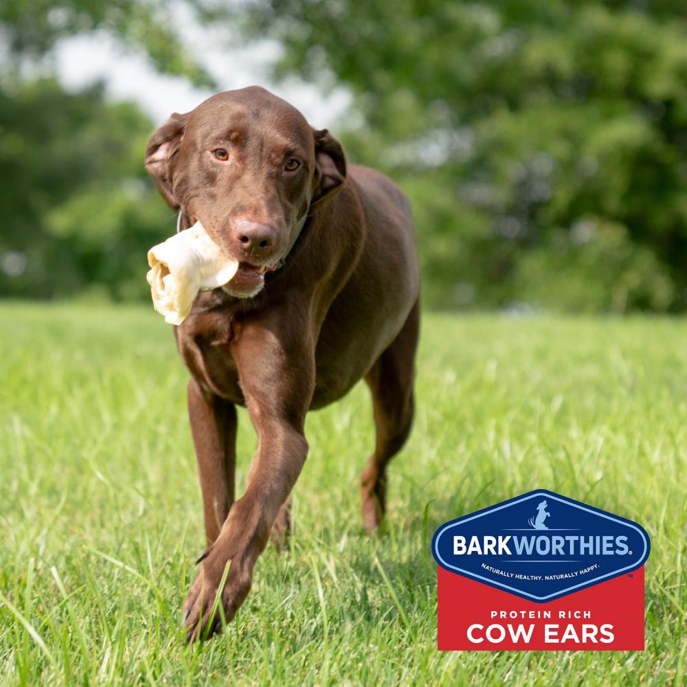 Barkworthies Cow Ears Dog Chews - Glendale, AZ - El Mirage, AZ - Mesa ...