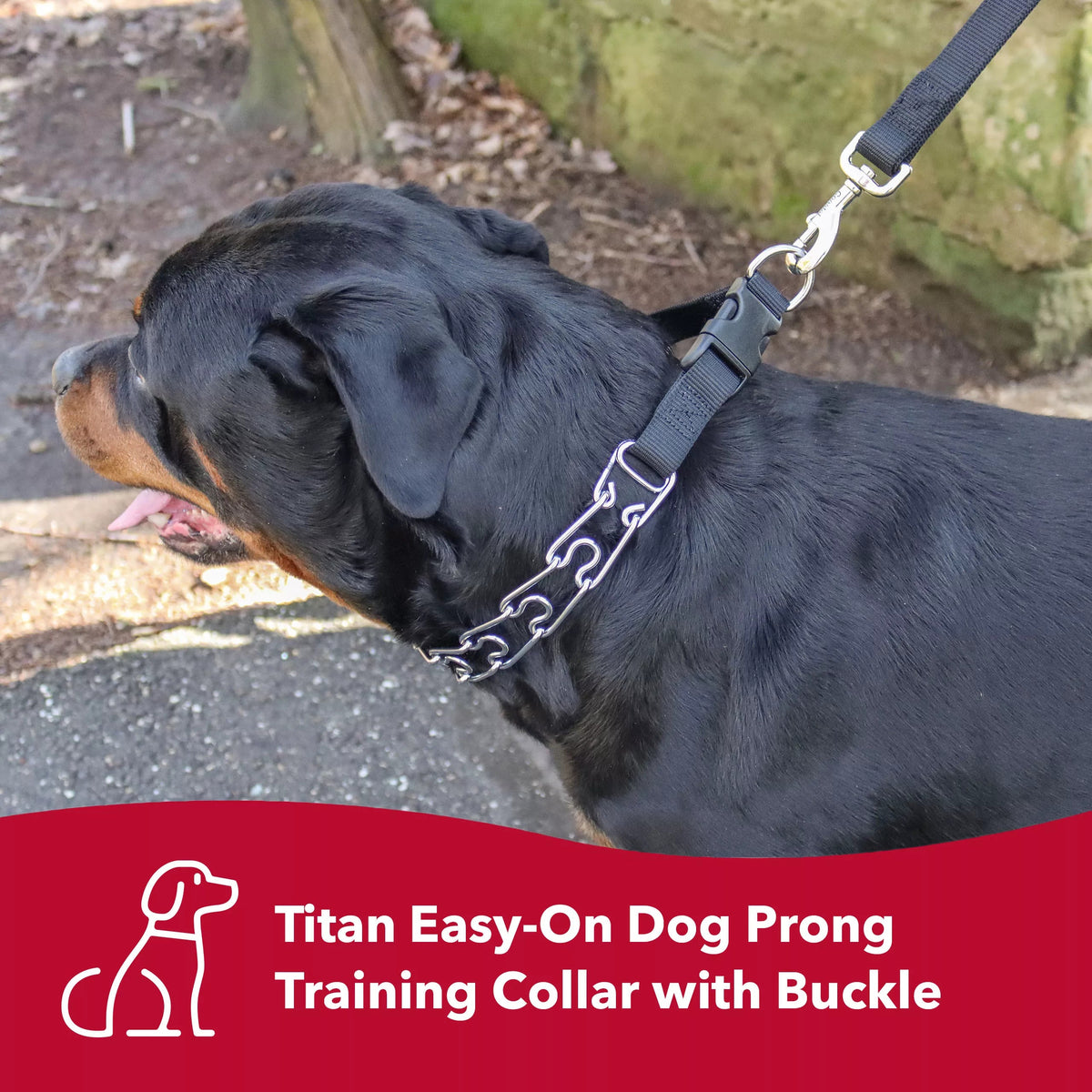 Coastal Pet Titan Easy-On Dog Prong Training Collar with Buckle ...