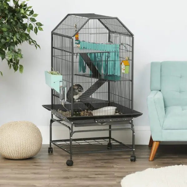Oxbow Animal Health Enriched Life – Multi-Level Habitat - Glendale, AZ ...