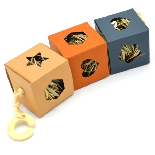 Oxbow Enriched Life – Hide Box Hanger Small Animal Toy - Glendale, AZ ...