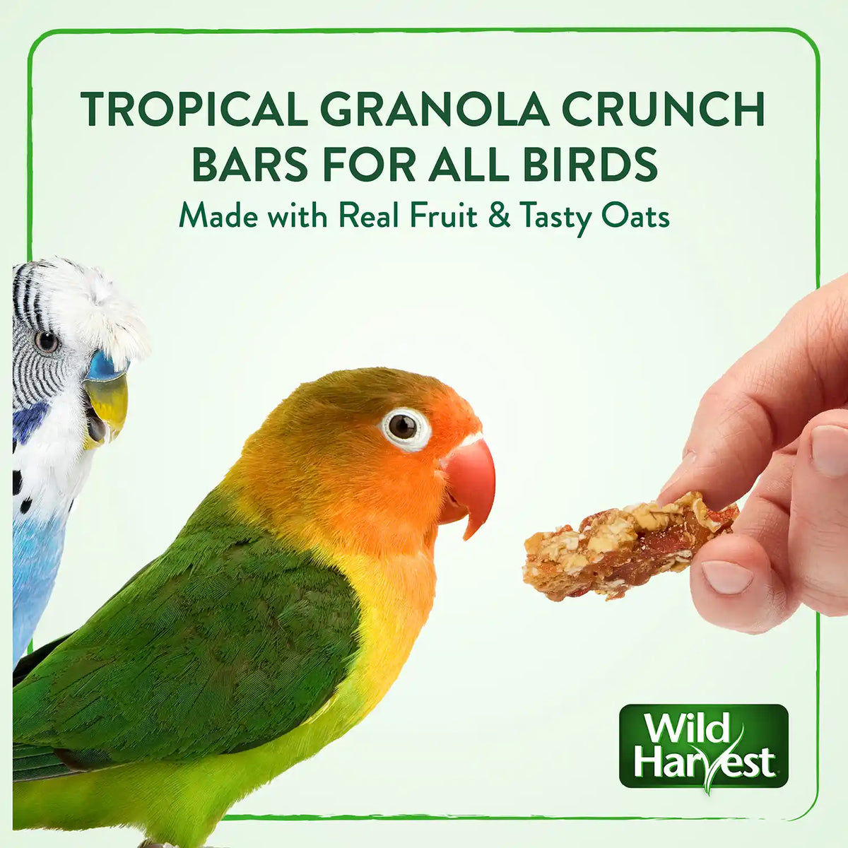 WILD HARVEST Tropical Granola Crunch Bars Bird Treats - Glendale, AZ ...